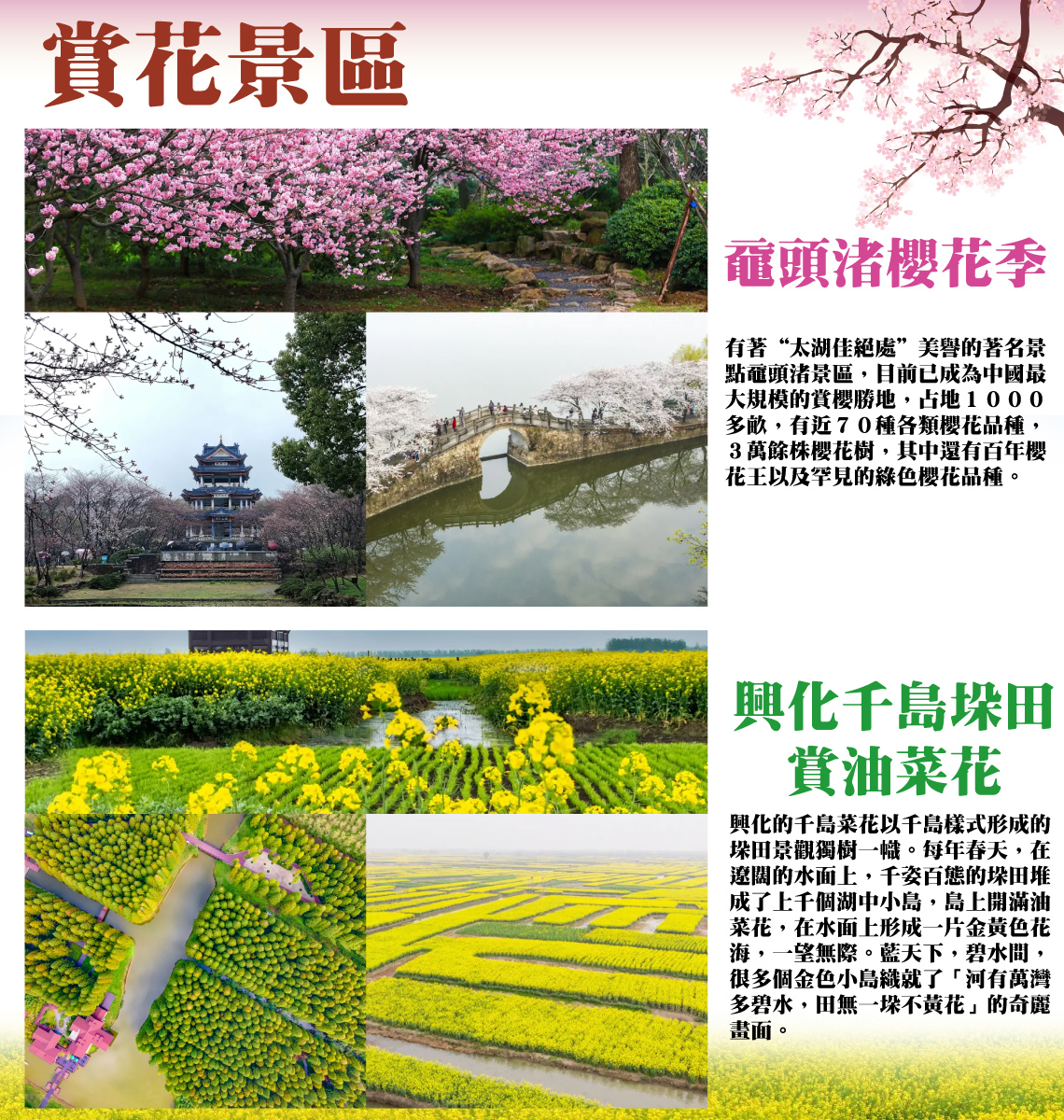 春暖花開~無錫+興化+揚州賞花六日入住七星級月亮喜來登或 南潯希爾頓 1晚-超悠旅行社-頂尖旅遊